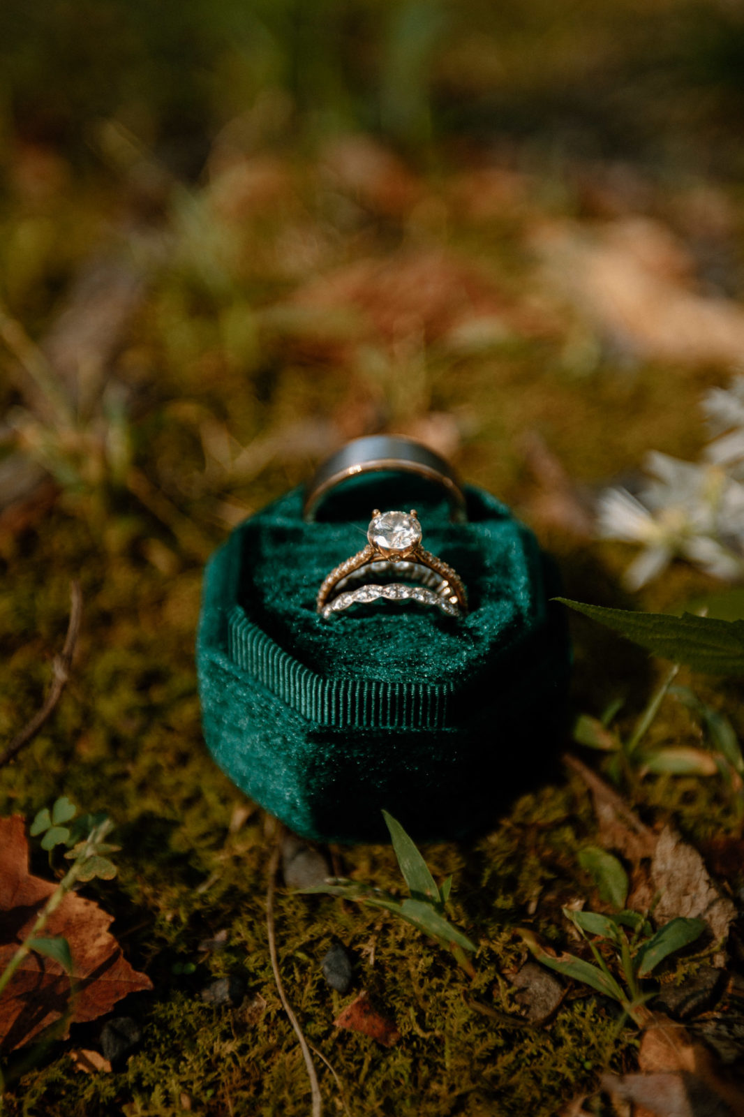 Promise Ridge Elopement | Rendezvous Elopements | Nicolette & Zach ...