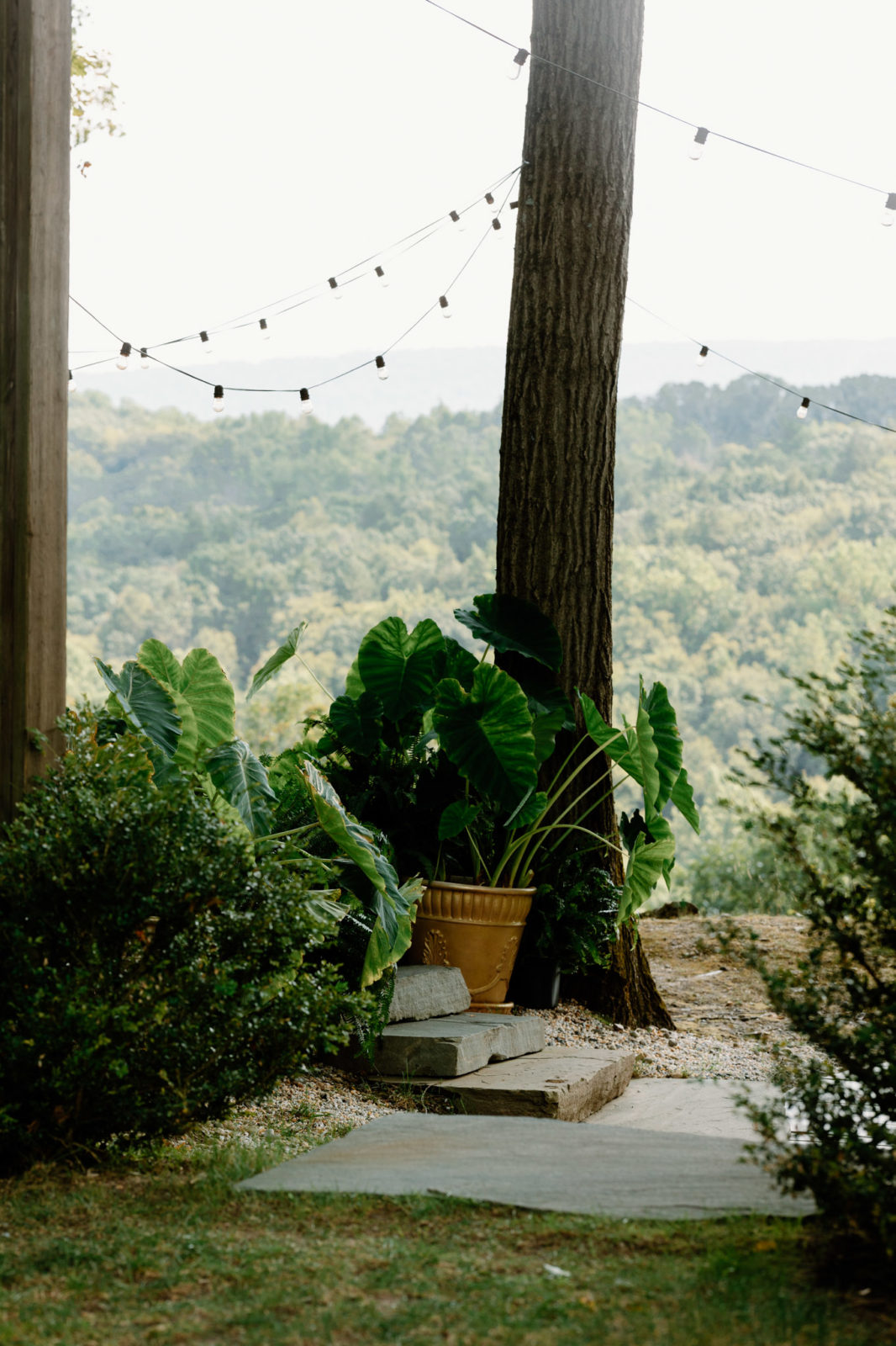 Promise Ridge Elopement | Rendezvous Elopements | Nicolette & Zach ...