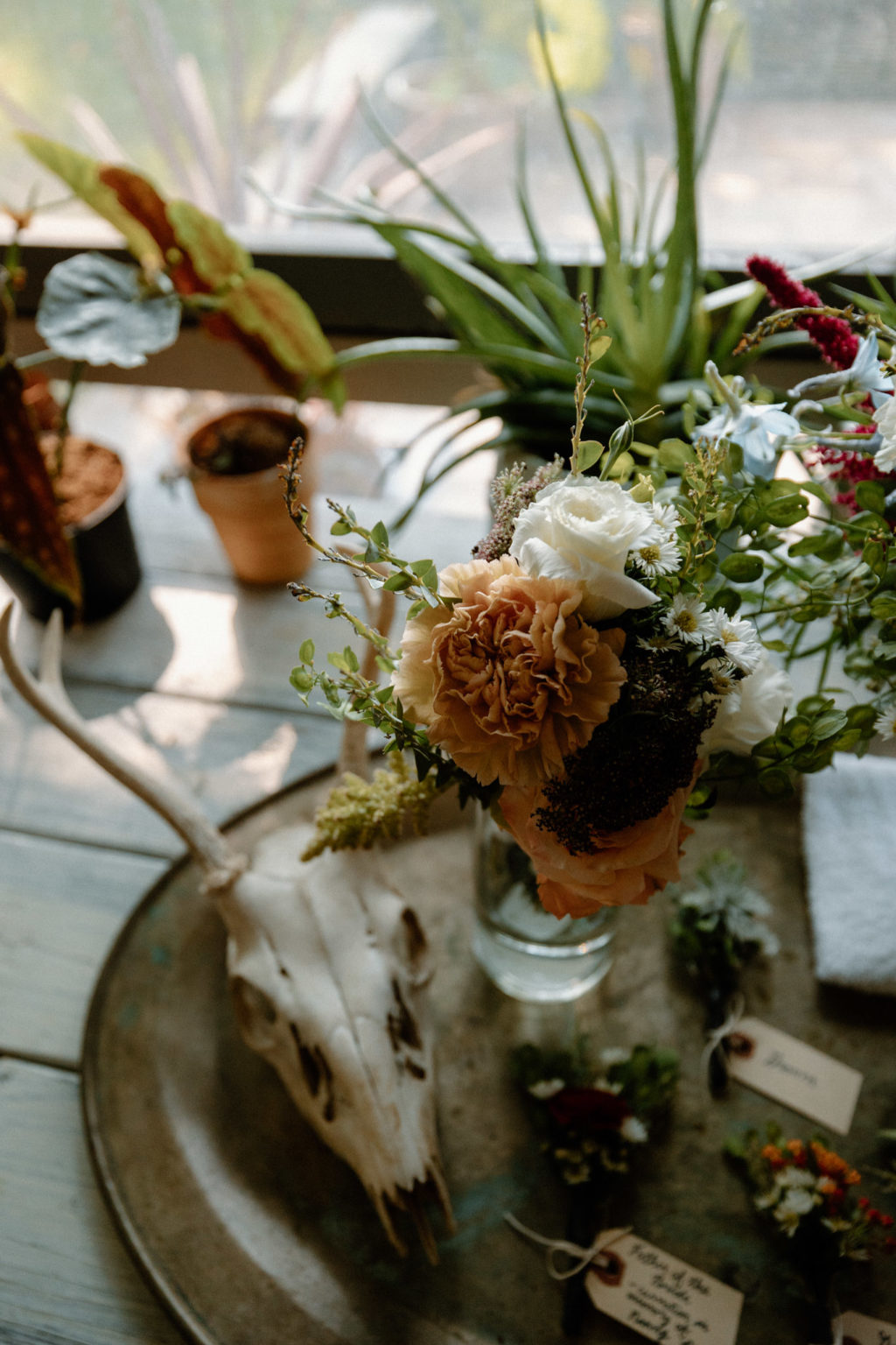 Promise Ridge Elopement | Rendezvous Elopements | Nicolette & Zach ...