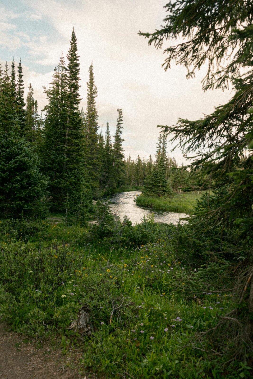 Colorado Elopement | Gavin & Amanda - rendezvouselopements.com